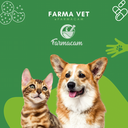 Biscoito veterinário para medicamentos: como funciona